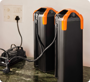 Discover New VIDA V2 Plus – Price, Range & Specifications